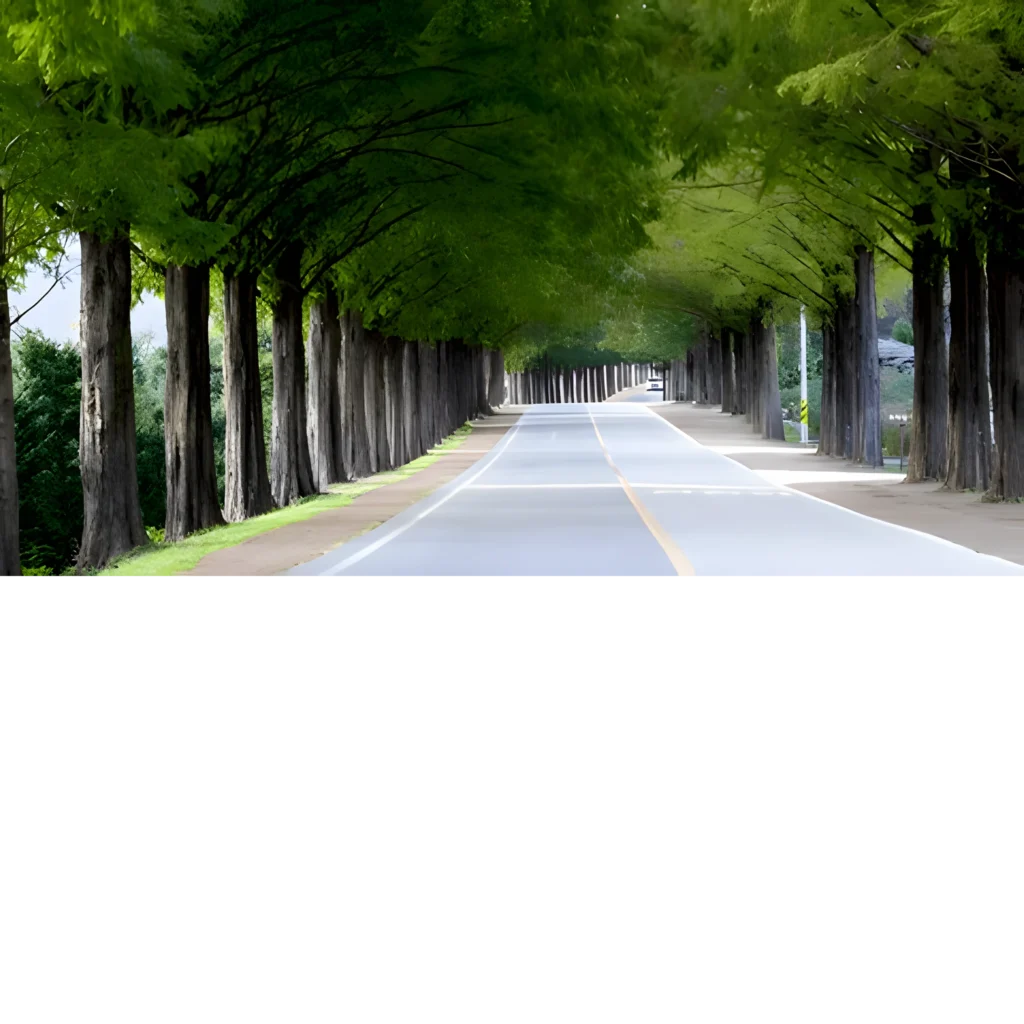 Top Tier 1 Dupont Tree Canopy Raise Expert