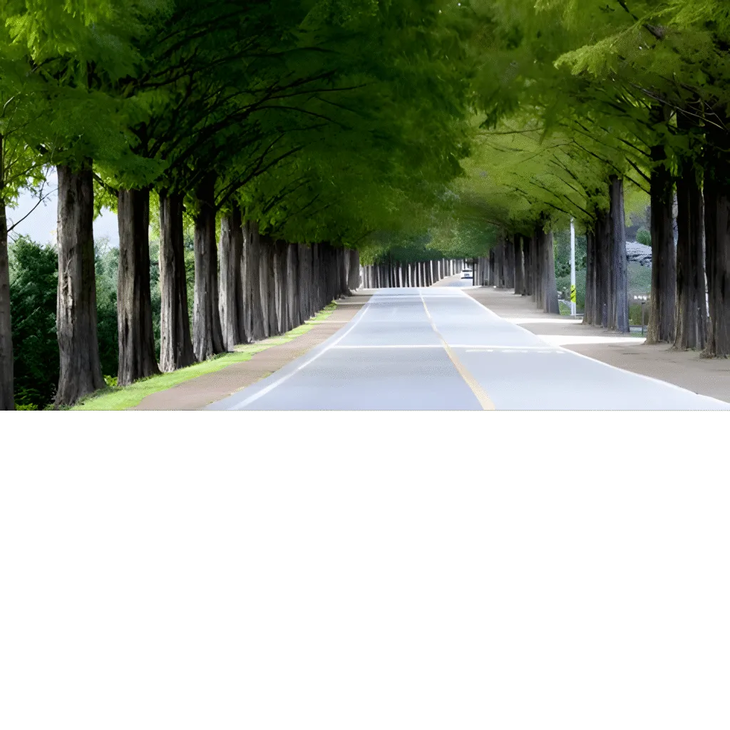 Top Tier 1 Tree Canopy Raise Woodway Expert